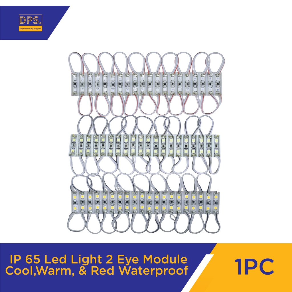 DPS HQ Led Light 2 Eye Module Cool,Warm, & Red(1pile=20) Waterproof 12V ...
