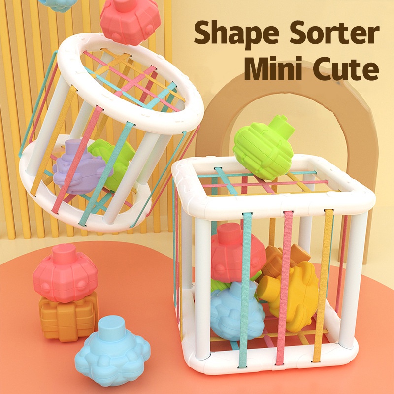 Baby Toys Sensory Balls Rainbow Rope Cube Shape Sorter Infant Cognitive ...