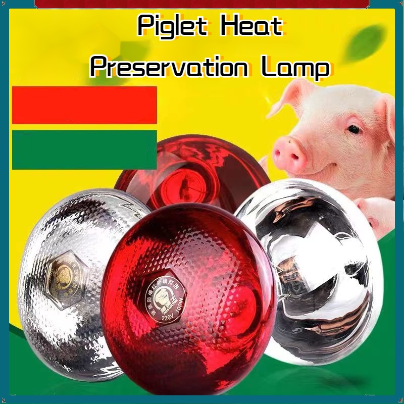 Pig Heat Lamp 100/150/200/250W Poultry Breeding Bulb Waterproof and ...