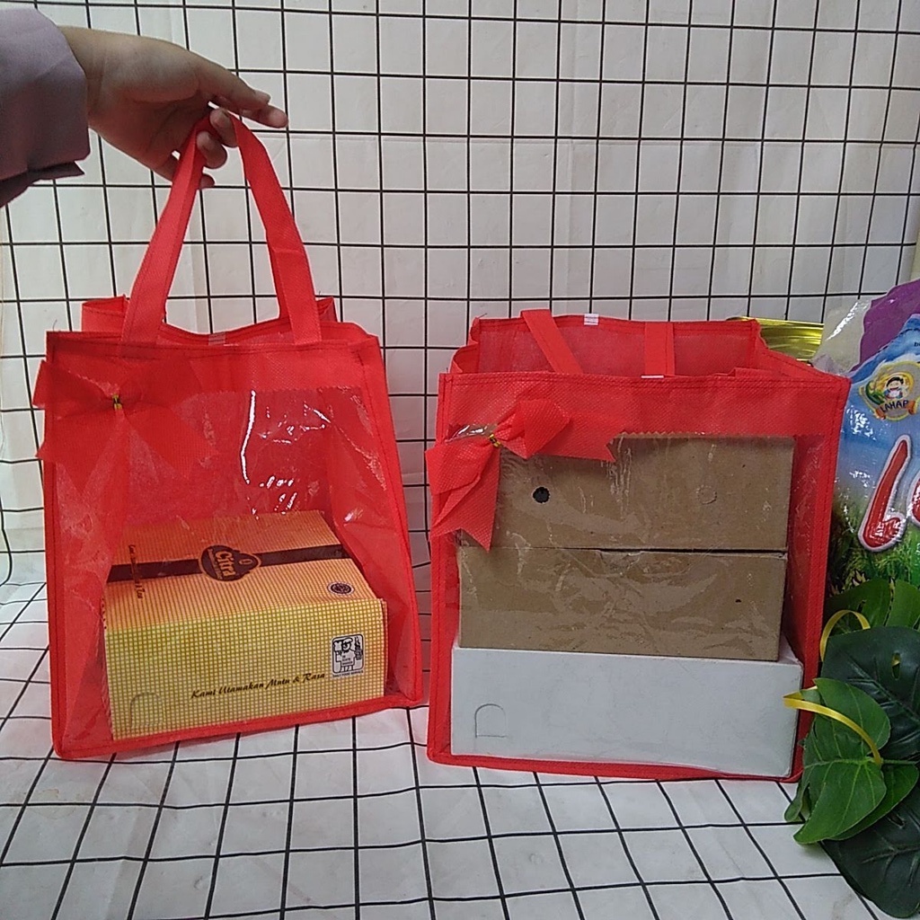 ECONOMICAL - MICA Bag 25x22x26 Combination Spunbond + Ribbon Goodie Bag ...