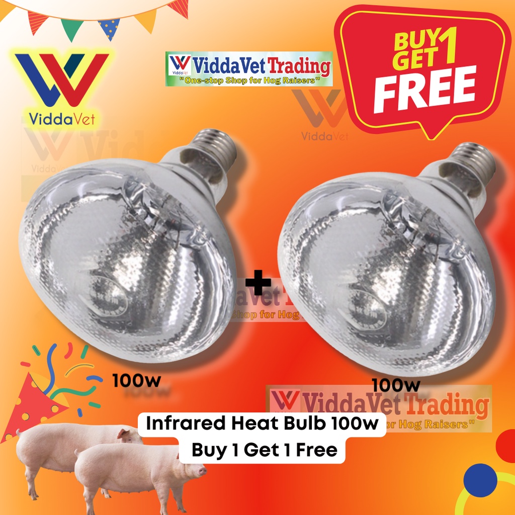 Buy 1 Take 1 Infrared bulb 100 watts Infrared bulb for piglets Infrared ...