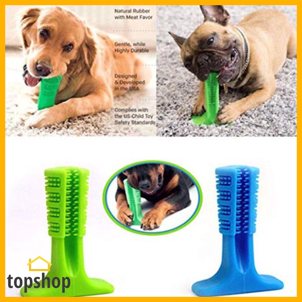 TOPSHOP Dog Toothbrush Brushing Stick Tooth Effective for Dogs Hygiene ...