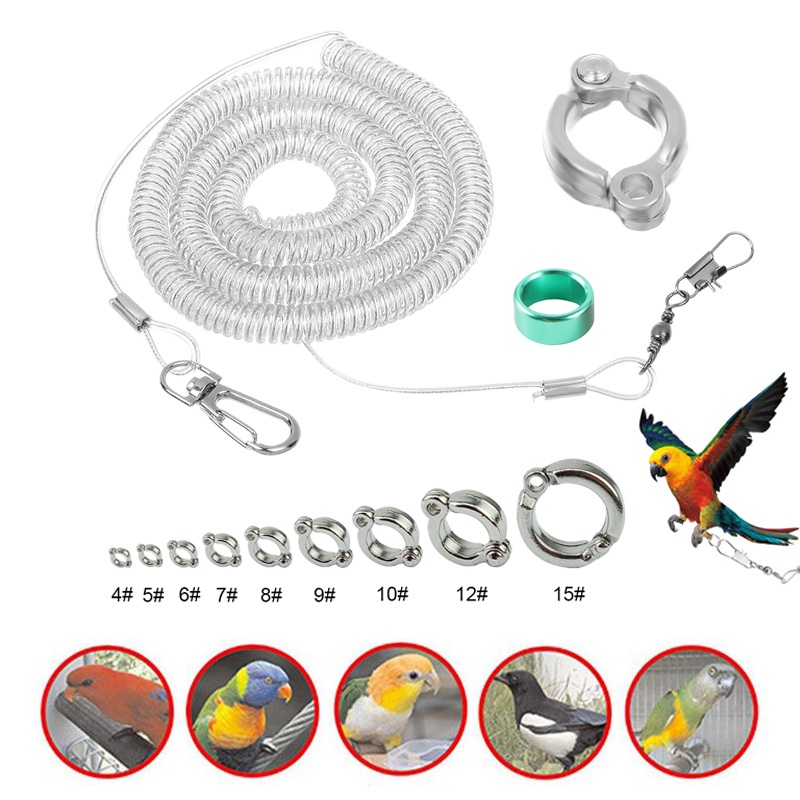 3M Birds Flying Rope Bird Leash with Ring Parrot Training Rope for ...