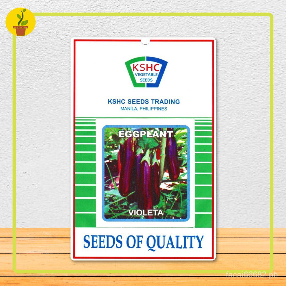 Eggplant Seeds (Violet Variety) [108 Seed Bag]-Keystone By: Variety. Agricultural Seeds/Shoes ...