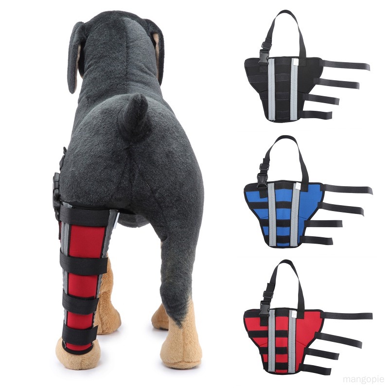 Dog Recovery Sleeve Abrasion Resistant Comfortable Leg Brace Sheath SBR ...