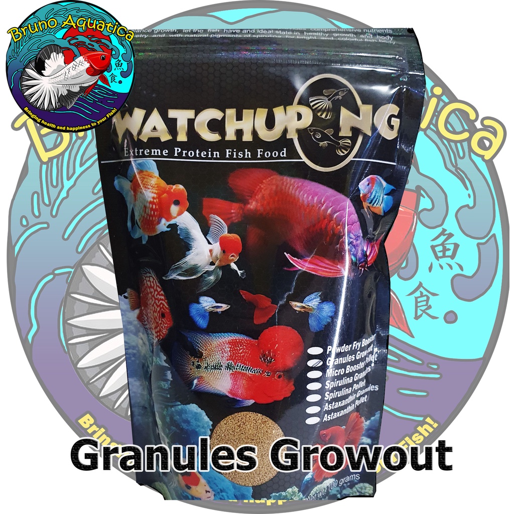 Watchupong Grow out Granules 100g & 50g BETTA FISH | GUPPY - GUPPIES ...