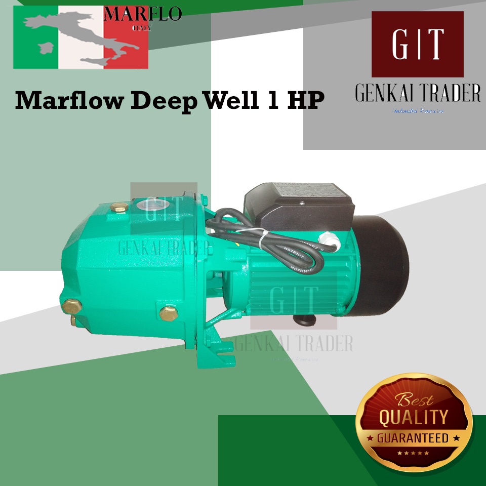 Marflo Deep well Electric Water Pump 1HP ORIGINAL ITALY | Shopee ...