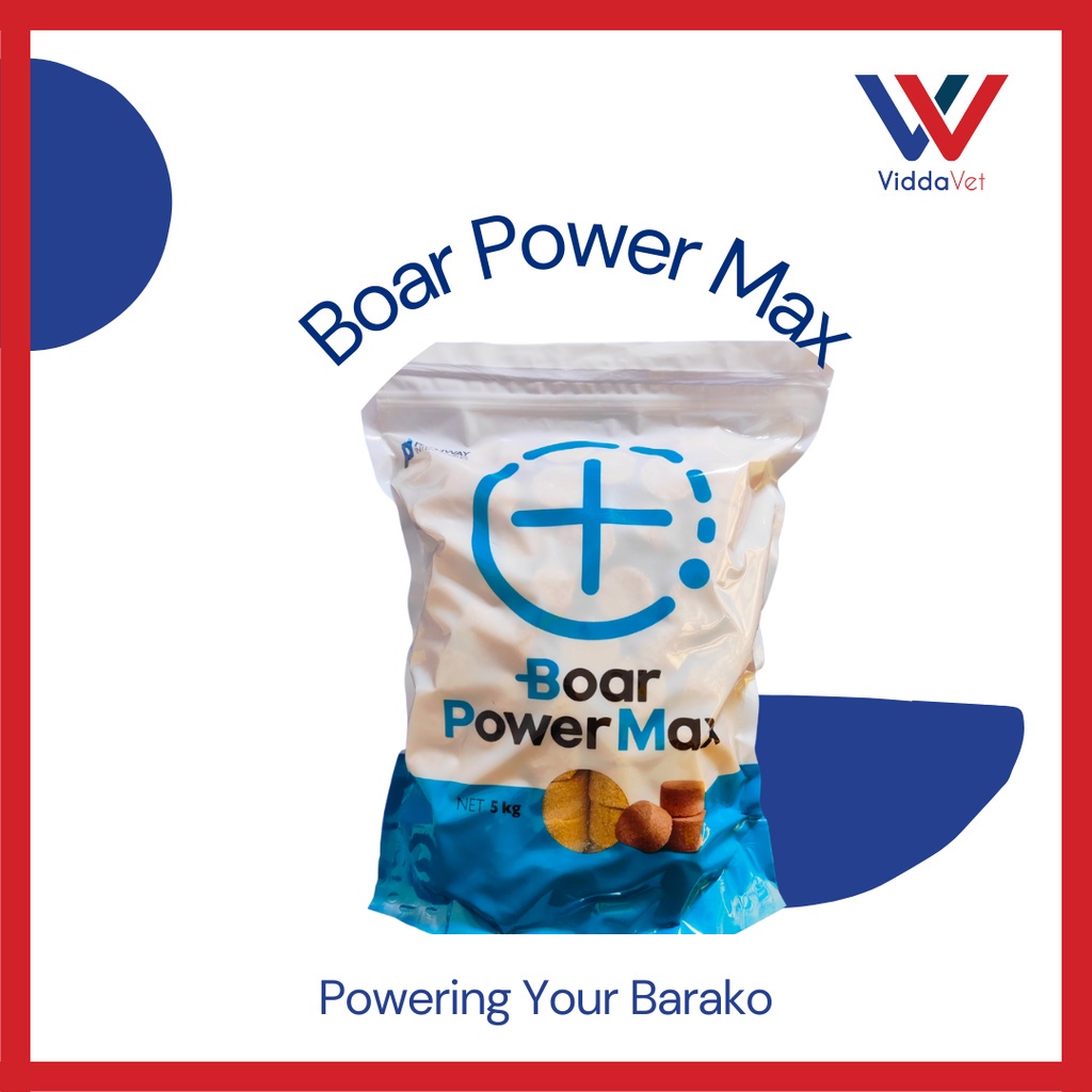 Boar Powermax Boar Performance Enhancer 1 kg/5 kg Boar Power Max Boar ...