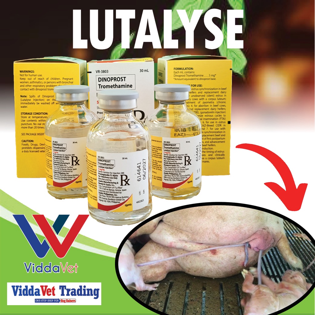 30 ml injection Lutalyse Injection for pigs Lutalyse dinoprost for pigs ...