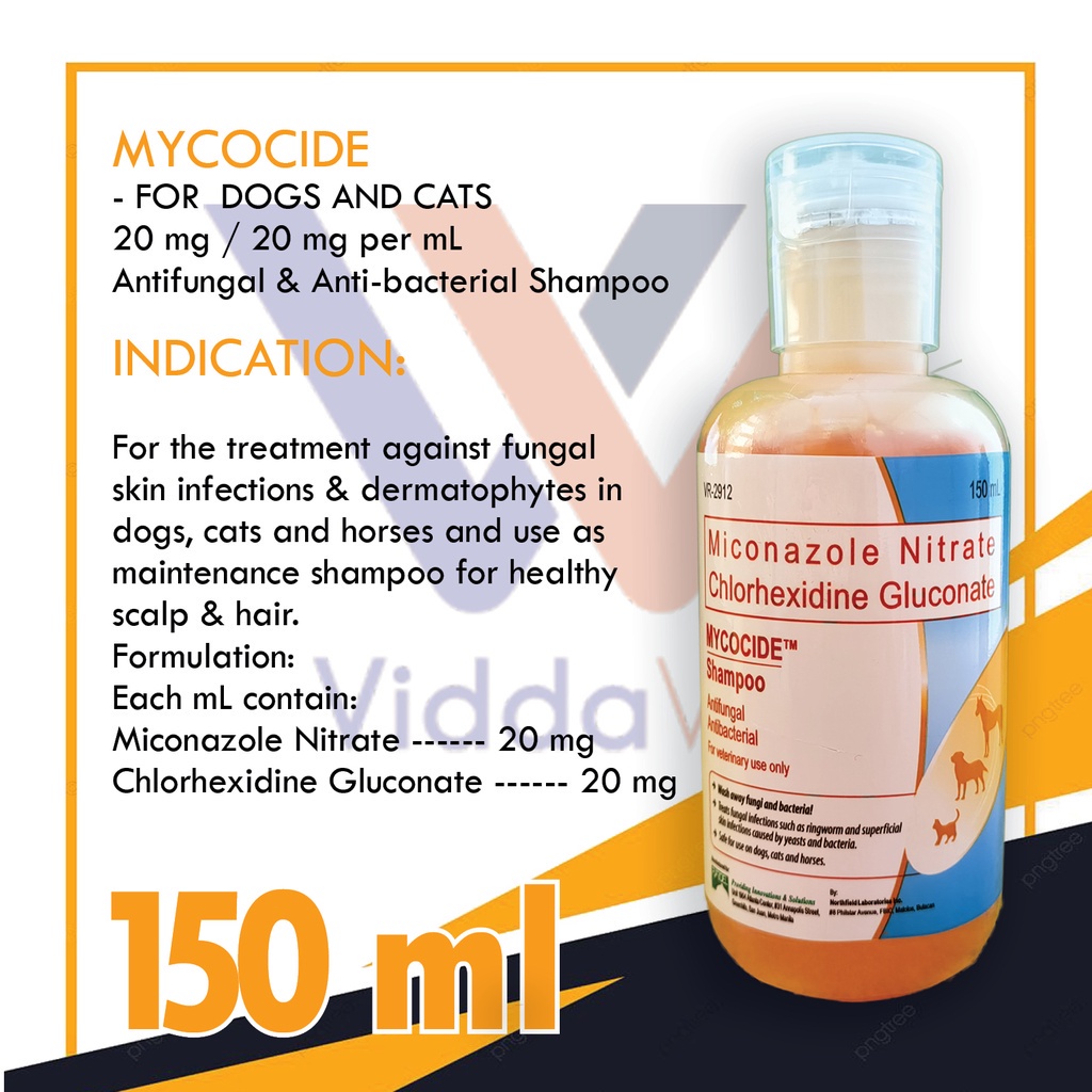 Mycocide Antifungal and Antibacterial Shampoo for Dogs Cats and Horse ...