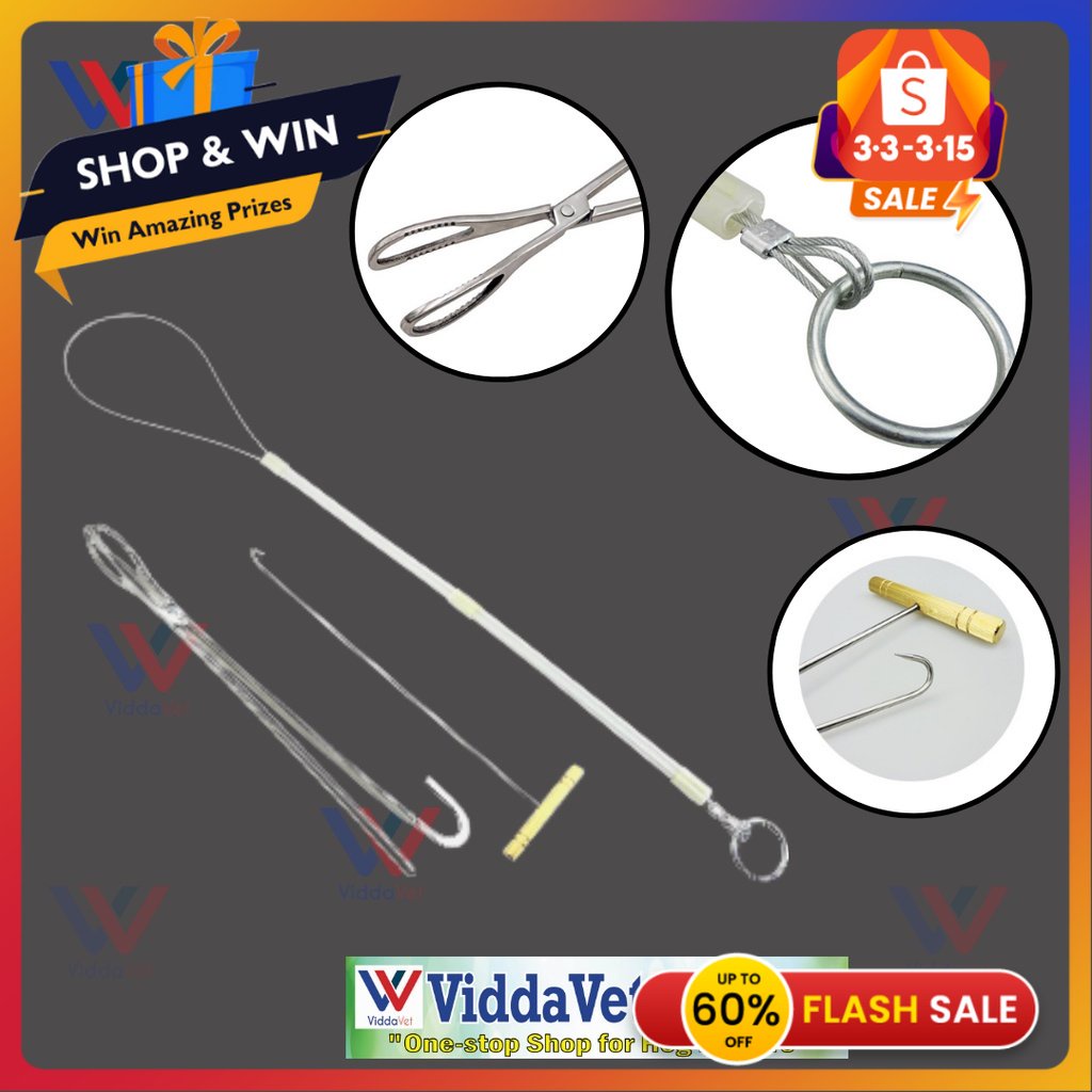 Swine Pig Obstetrical Midwifery Tools Kit Stainless Steel Forceps ...