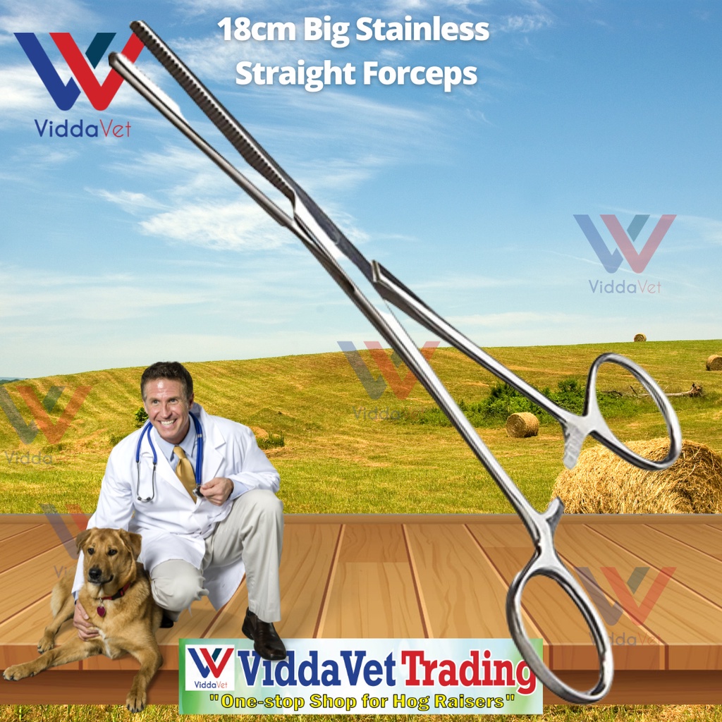 18 cm Forceps Straight Big Stainless Veterinary Hemostatic Surgical ...
