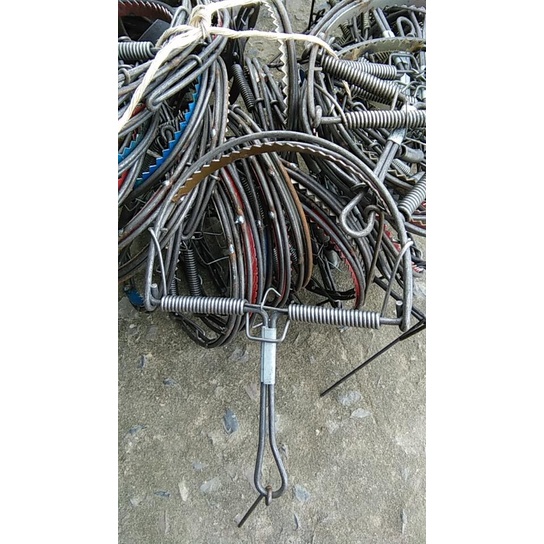 Semicircular rat-smashing arc tooth trap with smart mouse trap teeth ...