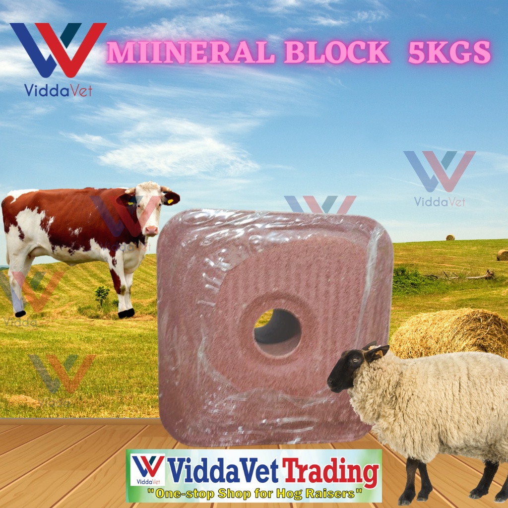 Intro Fort Block Mineral Block 5kgs Holland for Cattle Sheep Goat sold ...
