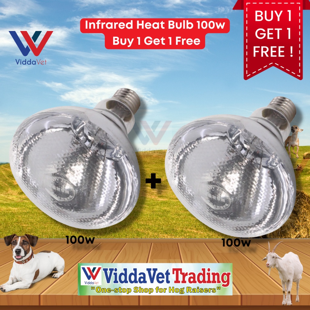 Buy 1 Take 1 Infrared bulb 100w Infrared heat bulb for piglets Infrared ...