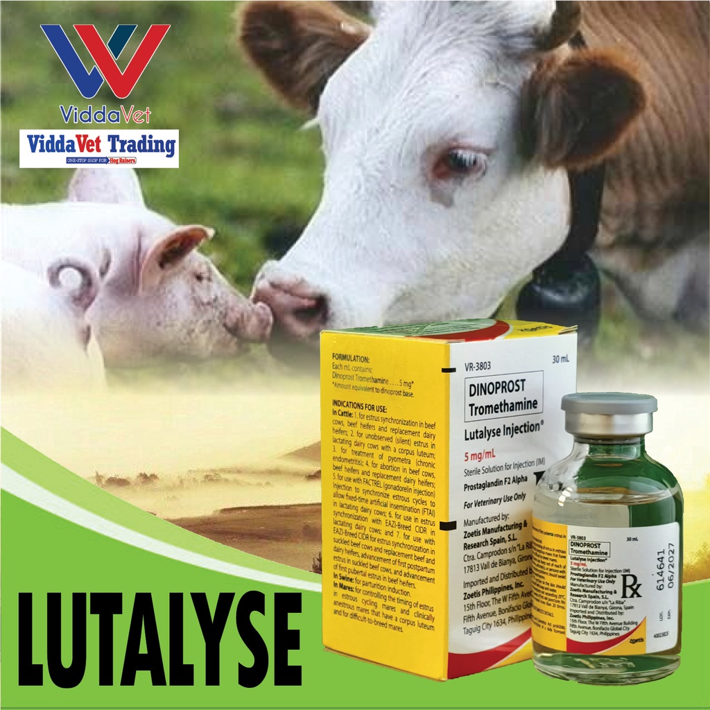 Lutalyse Injection for pigs Lutalyse dinoprost for pigs cattle Lutalyse ...