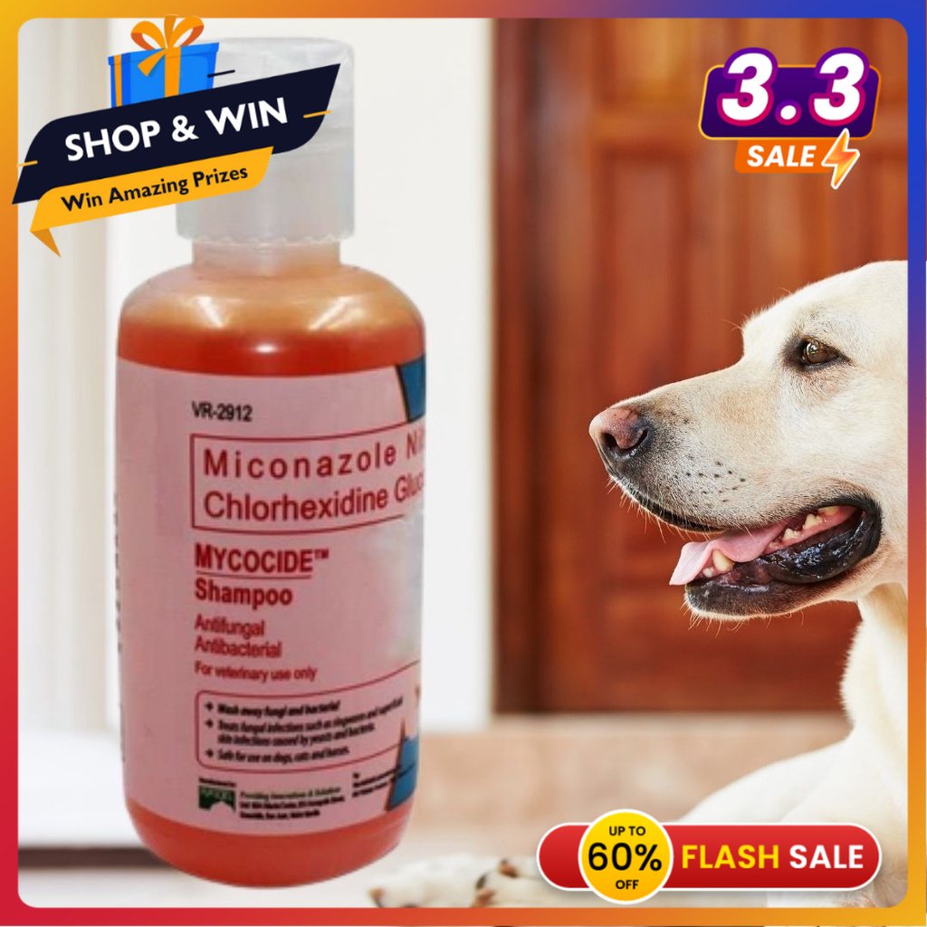 1 bottle 150 ml Mycocide Antifungal Shampoo for Dogs and Cats | Shopee ...