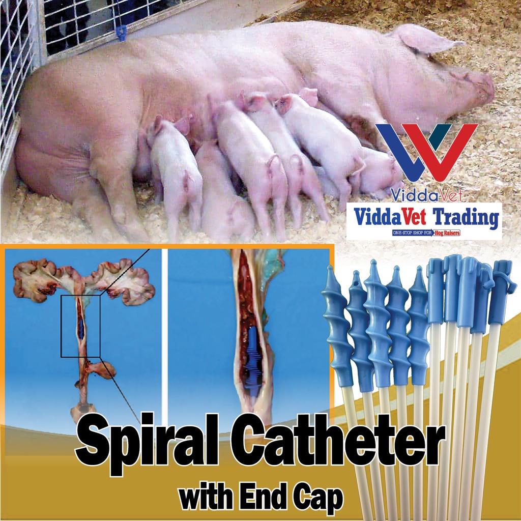 10 pc Disposable pig artificial insemination Spiral tip disposable 10 ...