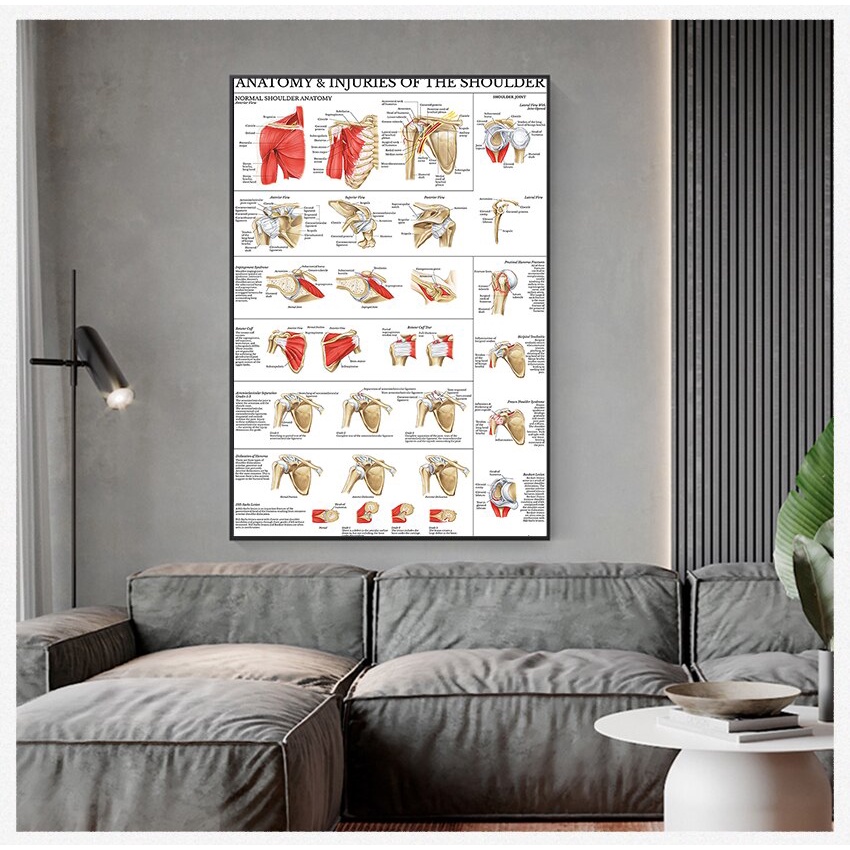 Body Picture Medical Education Home Decoration Painting canvas painting ...