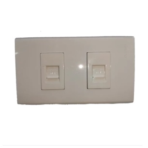 Royu Lan and Telephone Outlet with Plate Combo, Telephone and Lan ...