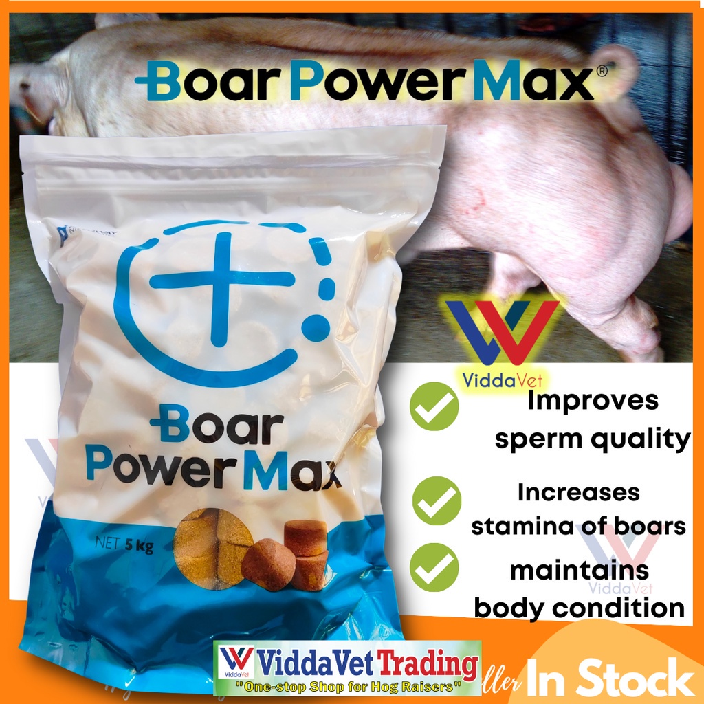 Boar Power Max Boar Supplement 1 kg/5 kg Boar semen enhancer Boar ...