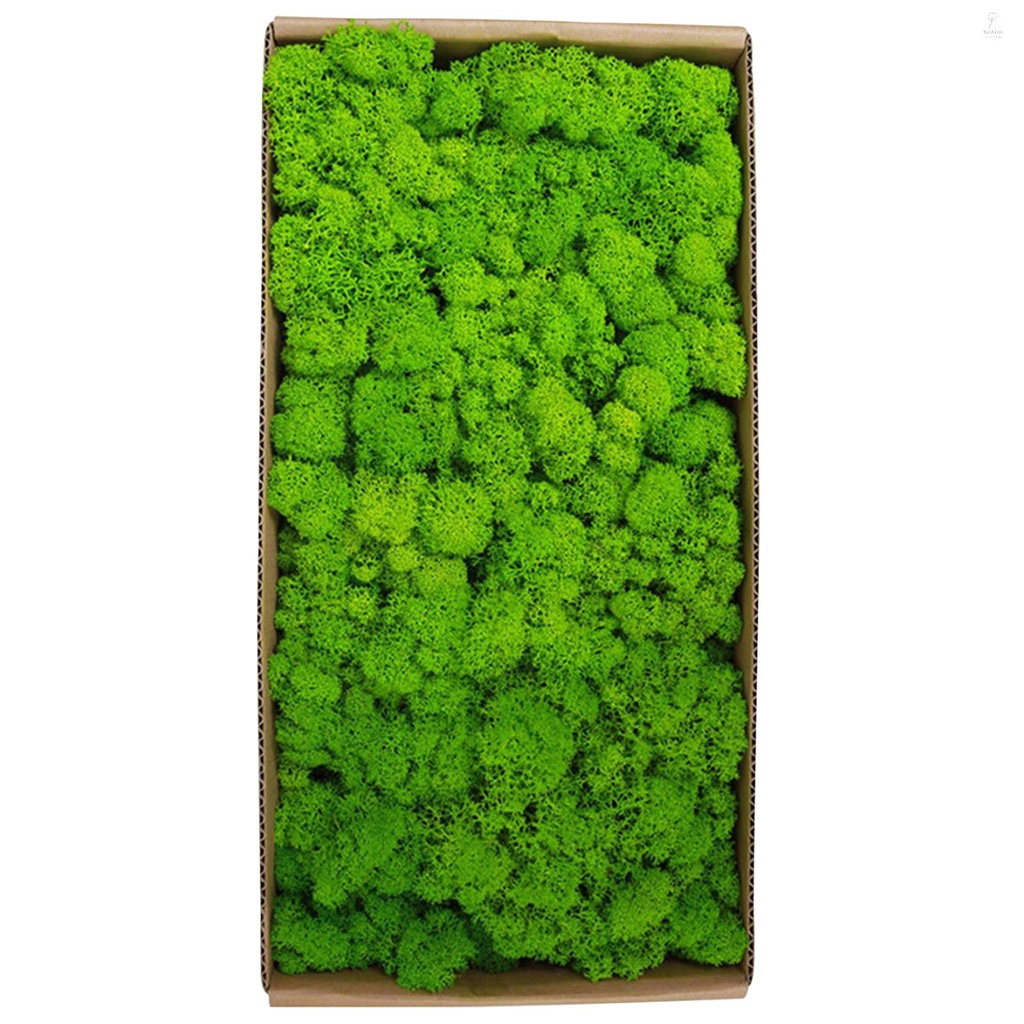 FLP Preserved Moss Wall Decor Real Preserved Moss No Maintenance ...