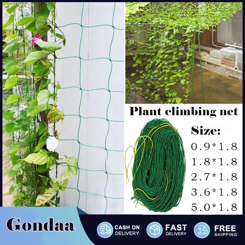 Garden Green Nylon Trellis Netting Support Climbing Bean Plant Nets ...