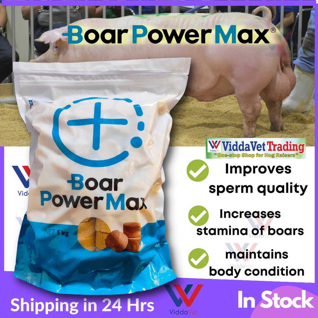 Boar Performance Enhancer 1 kg/5 kg Boar semen enhancer Boar Powermax ...