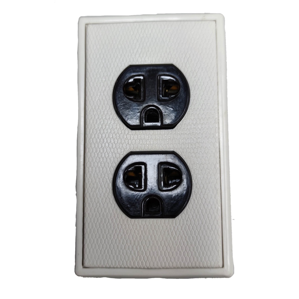 Kopez Duplex Outlet with Ground and Plate 10A 250V - KM2243G-B/KM2056P ...