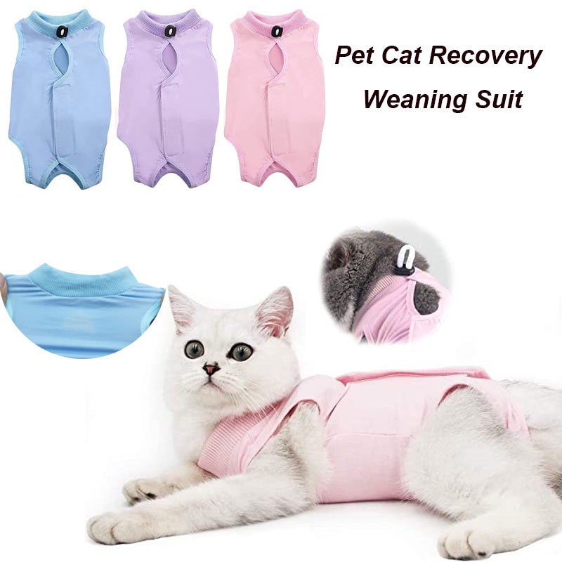 Cat Recovery Weaning Suit Elastic Soft Pet Clothes Kitten Vest Pet ...