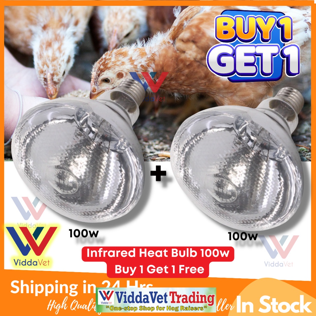 Buy 1 Take 1 Infrared bulb for piglets Infrared bulb for brooding 100 ...