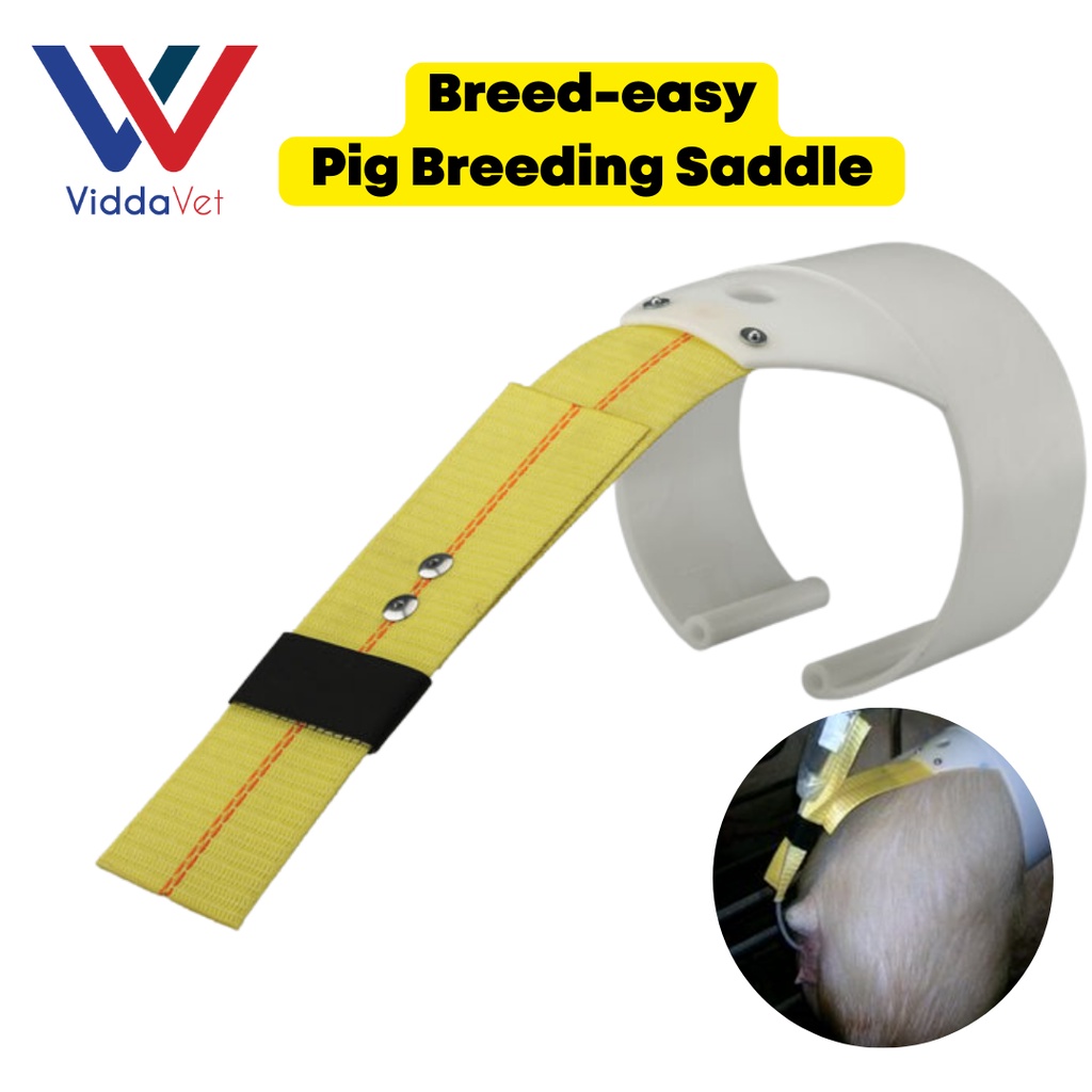 Pig Artificial Insemination Clip Holder A.I buddy Sow Insemination ...