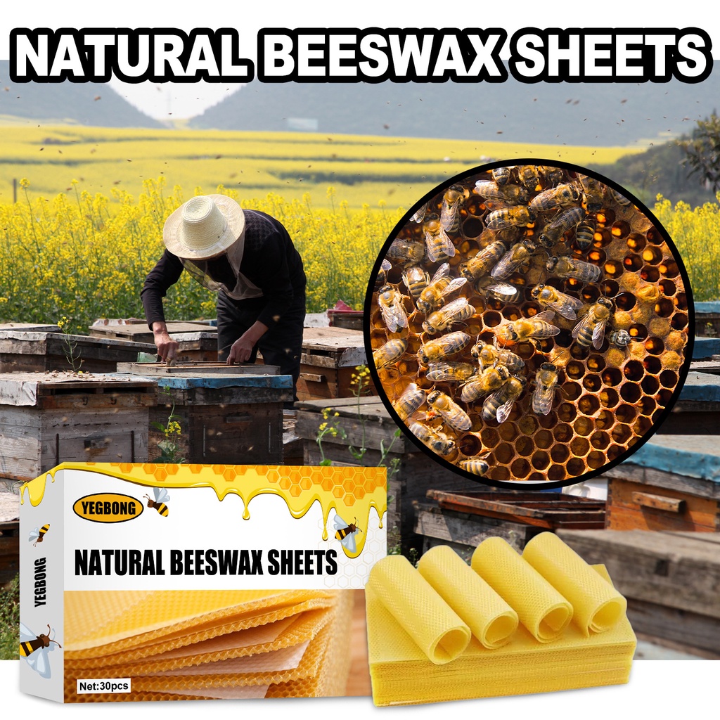 30pc Honeycomb Foundation Bee Hive Wax Frames 13CM Beekeeping Beehive ...