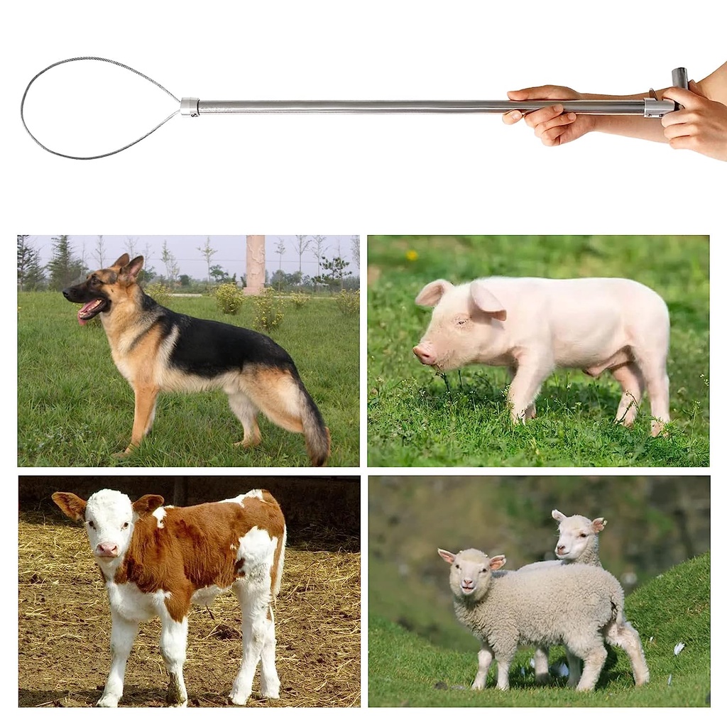 Dog Catcher Slap Shot For Pigs Pig Catcher Dog Pole Stainless Steel Animal Control Portable ...