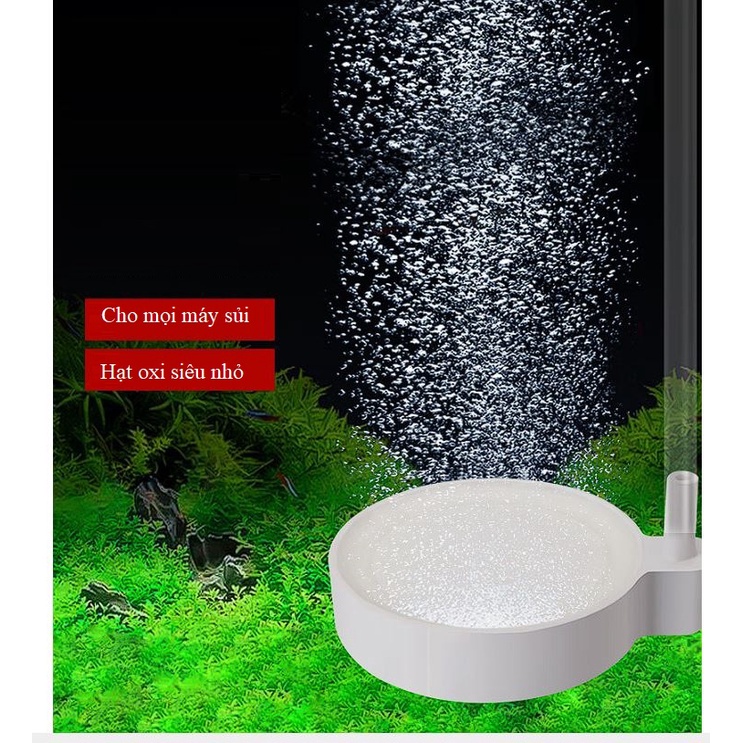 OXY Super Fine Oxygen Disk Effervescent in Many Sizes - Oxygen ...