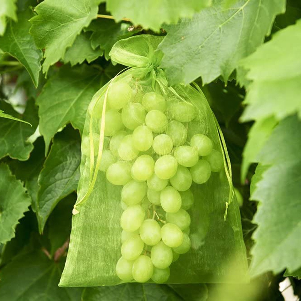 50PCS Fruit Protection Bags Grapes Mesh Bag Pest Control Anti-Bird ...