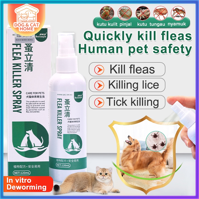 120ml Anti flea and tick remover for Dogs Cats Pet flea spray Tick and ...