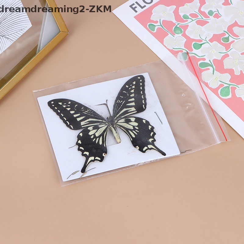 [dreamdreaming] 1Pc Real Butterfly Specimens Rare And Exquisite ...