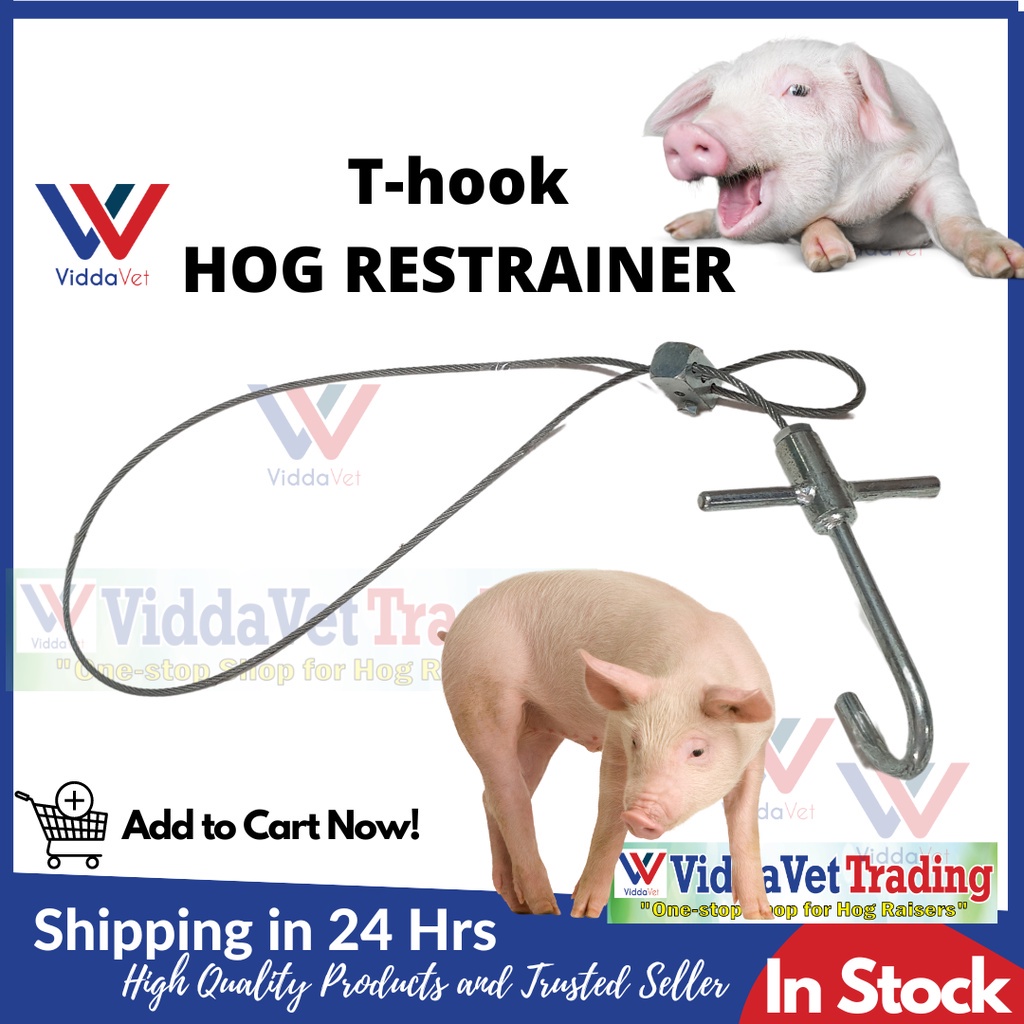Stainless Steel T-shape Hook Hog restrainer catcher for pigs farm ...