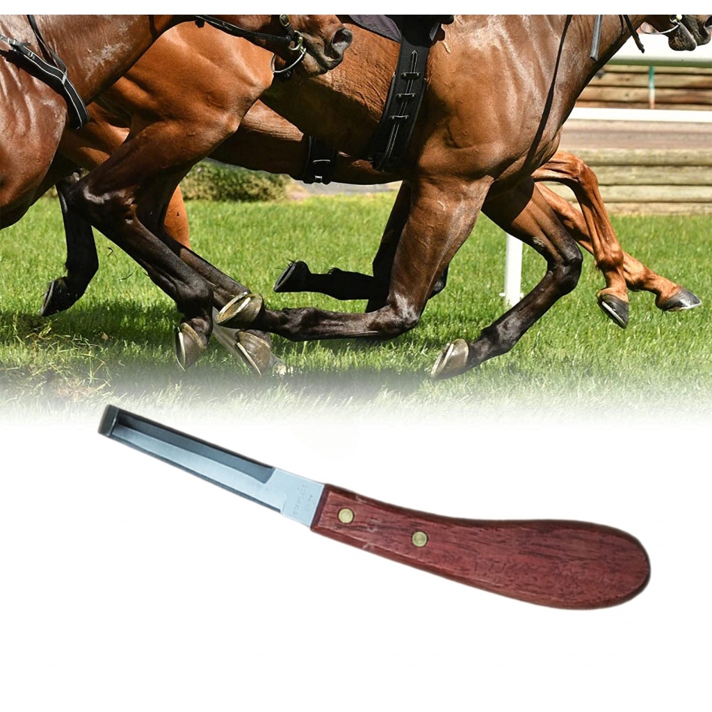 Hoof Knife Double Sided Blade Farm Animal Cow Horse farrier Knife ...