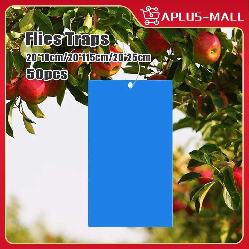 50Pcs Blue Strong Flies Traps Insect Trap Sticker Double Sided Paper ...