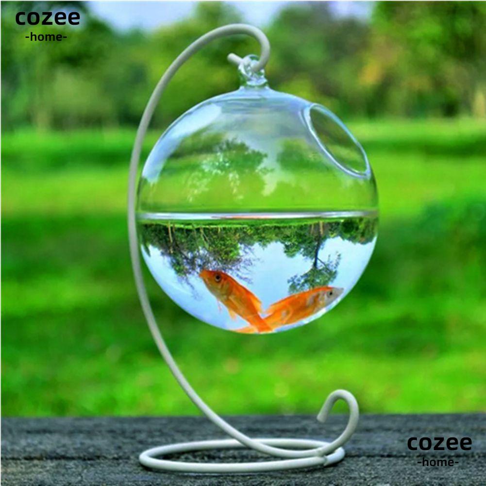 COZEE Glass Crafts Glass Vase Fishbowl Aquarium Decoration Transparent ...