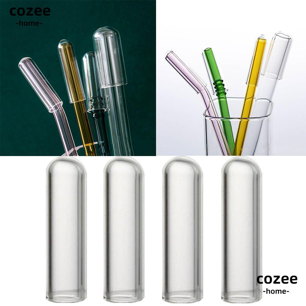 COZEE 1/4PCS Stainless Steel Straws Straw Tips Cover Dust Cap Reusable ...