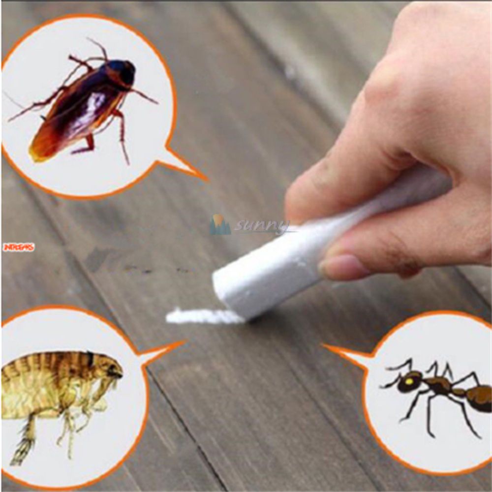 Cockroach Medicine Pen Cockroach Pen Kill Lice Cockroach Ant Bug Flea ...