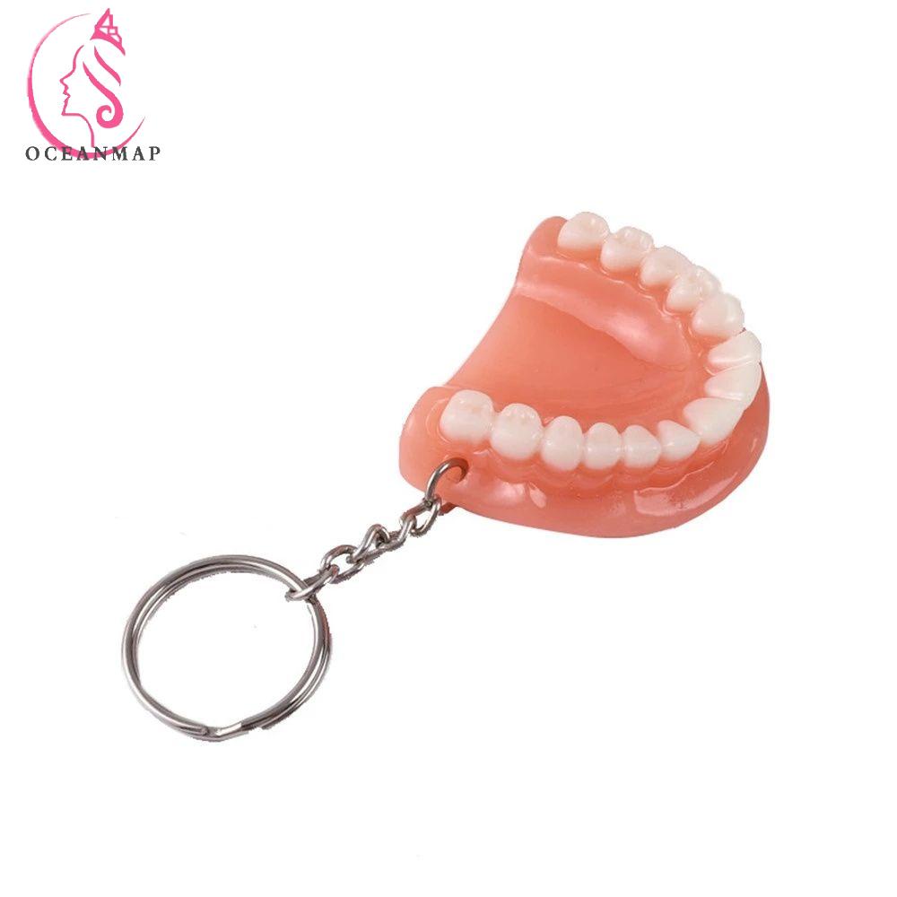 OCEANMAP Tooth Key Chain Creative Dental Gift Upper Jaw Simulation ...