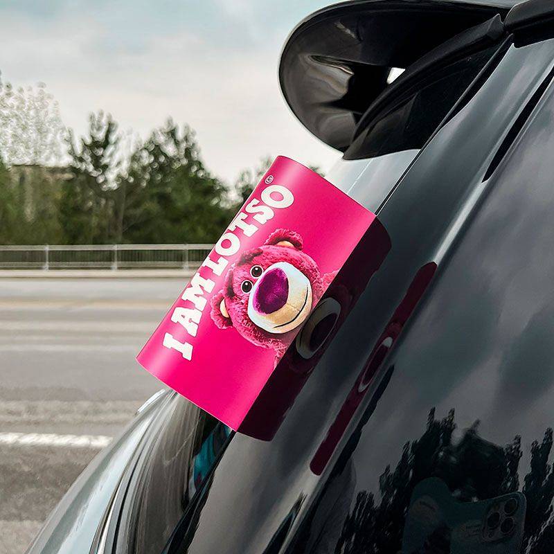 Wash Label Influencer Sticker Rear Label Sticker Unique Car Door Rear ...