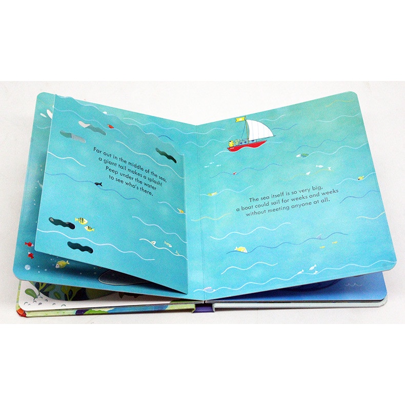 Usborne Peep Inside The Sea 3D Flap Educational English Picture Books ...