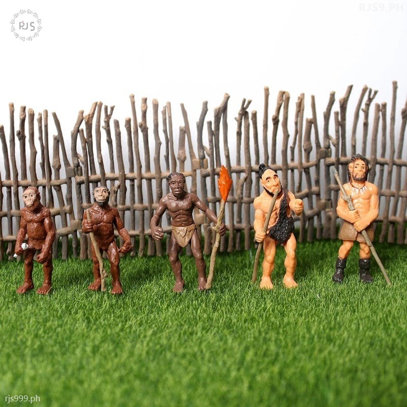 Simulation Human Evolution Of Man Primitive Human Model Figures Toy ...