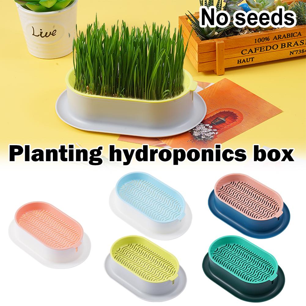 Breathable Cat Grass Box Planting Hydroponics Box Cat Grass Planting ...