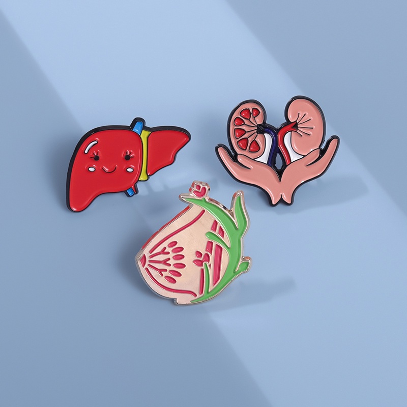 Medical Organ Enamel Pins Liver and Kidney Heart Breast Brooch Anatomy ...